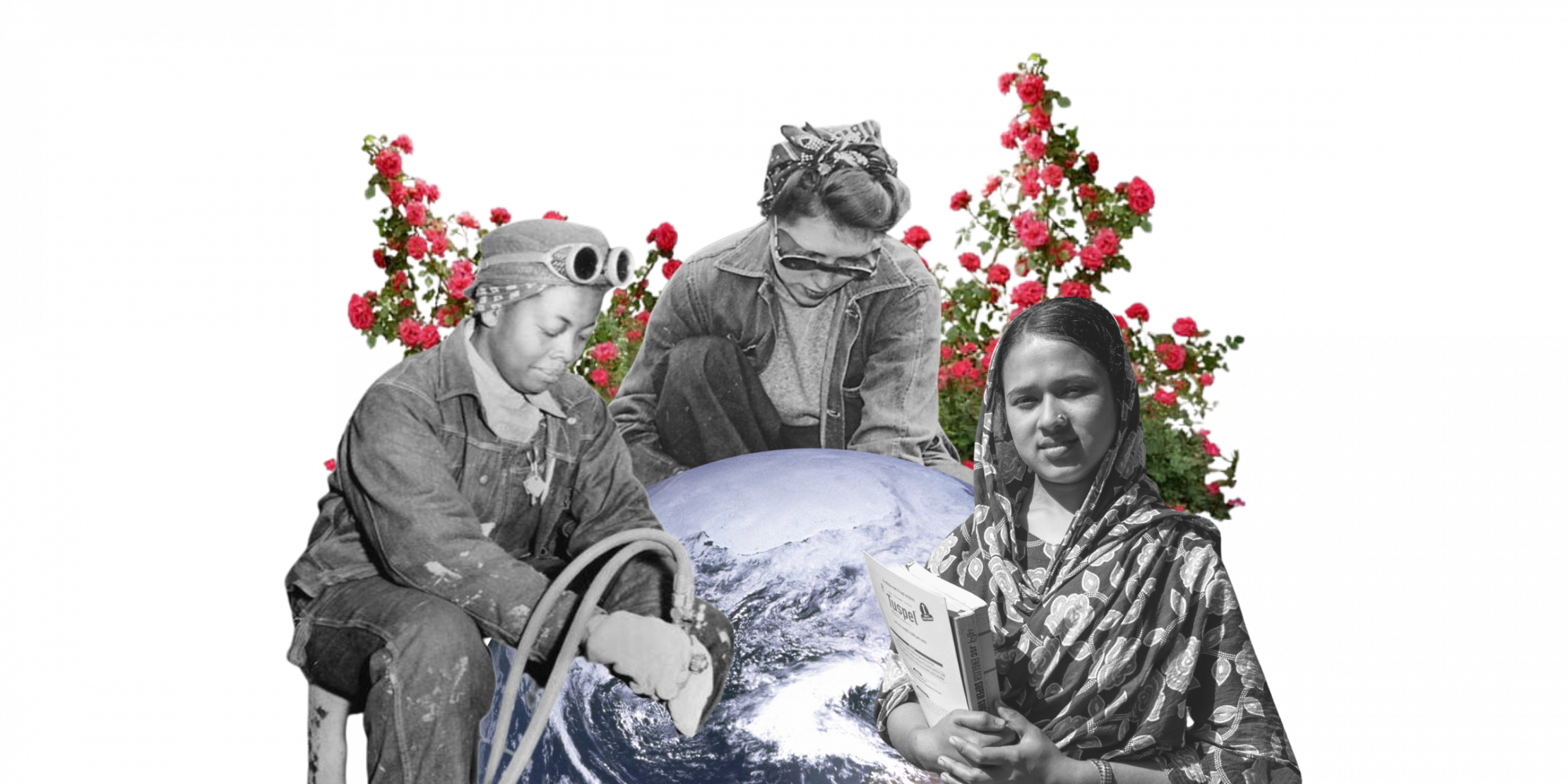 Le Dictionnaire du Climat : un guide pratique sur le changement ...